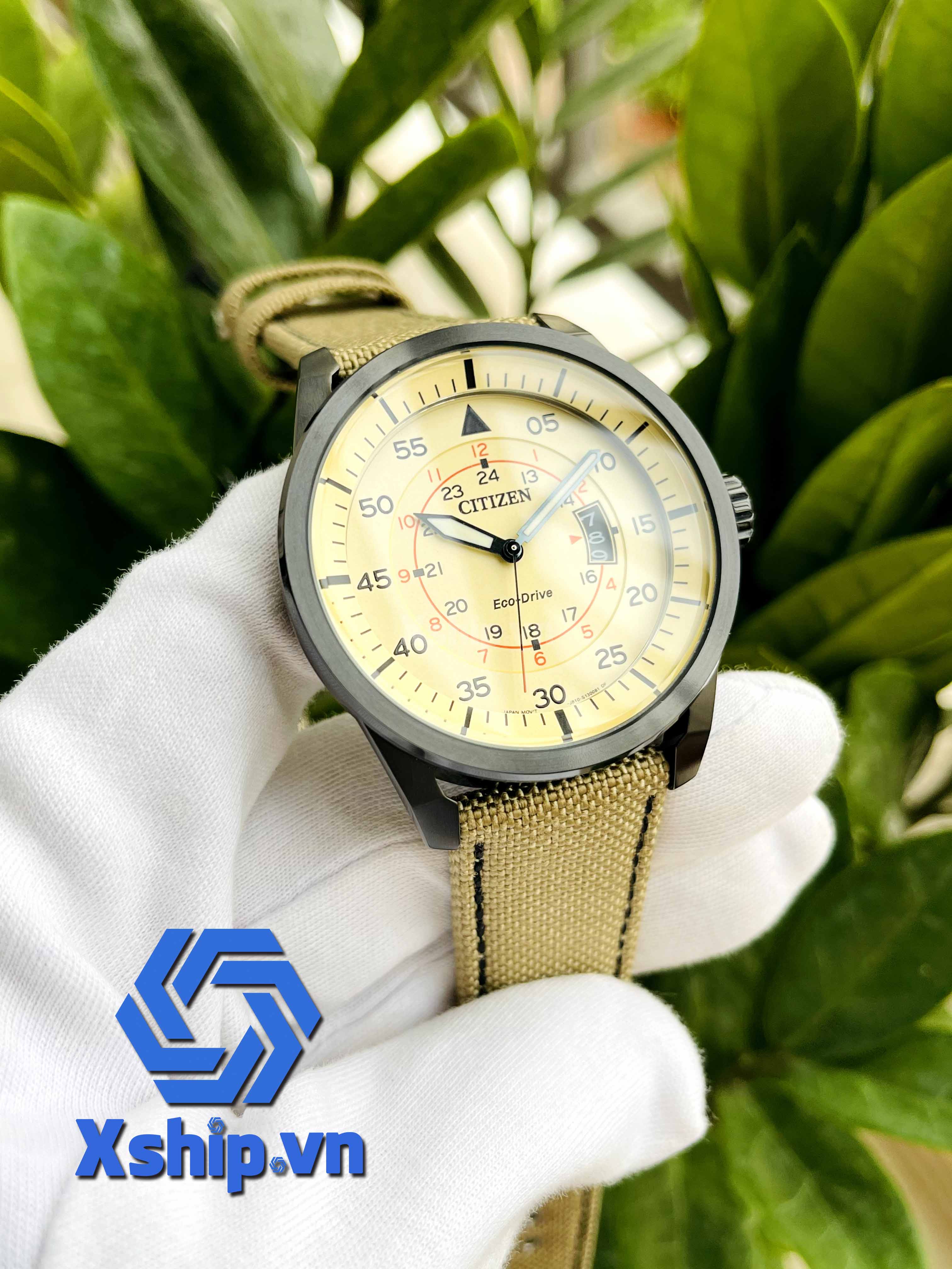Citizen Eco-Drive AW1365-19P
